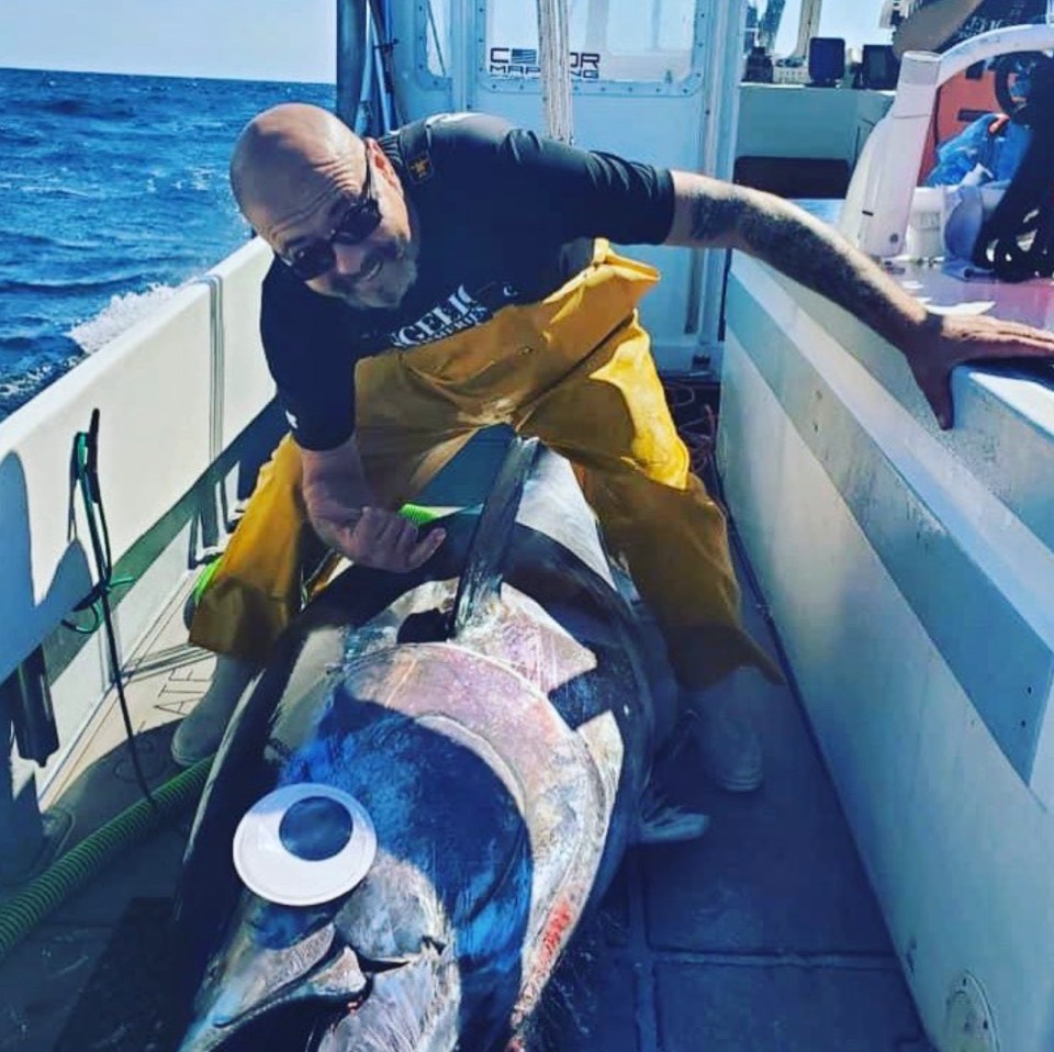 Wicked Tuna star Dave Marciano’s net worth suddenly skyrockets overnight after sealing a major ...