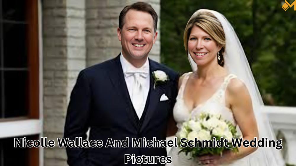 Pulitzer-winning reporter Michael S. Schmidt, husband of MSNBC’s Nicolle Wallace — what did he ...