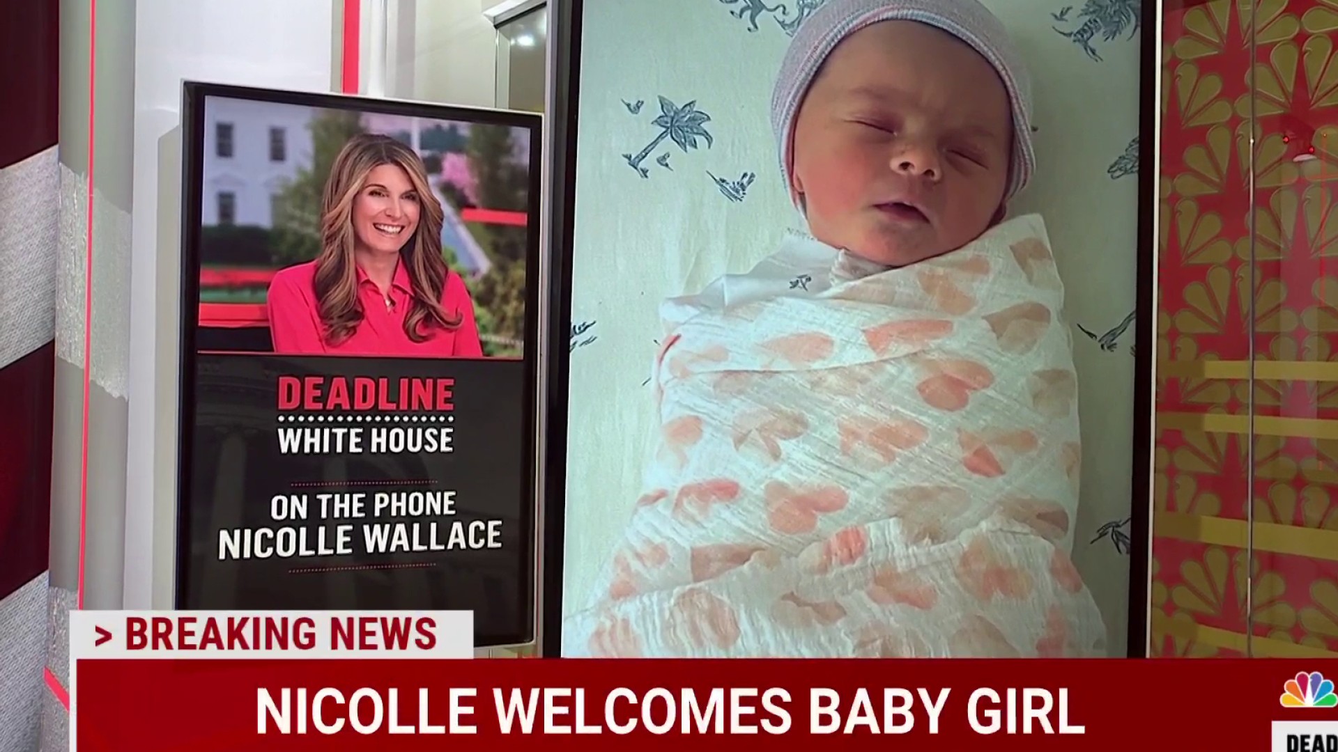Nicolle Wallace revealed once again that her family is excitedly ...
